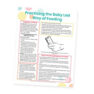 Starting Solids: Setting the Foundation | New Ways Nutrition