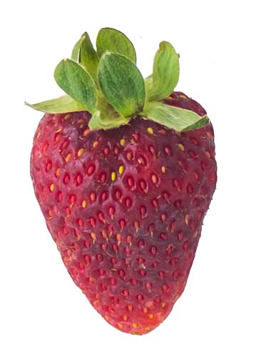 Strawberries for Babies | New Ways Nutrition